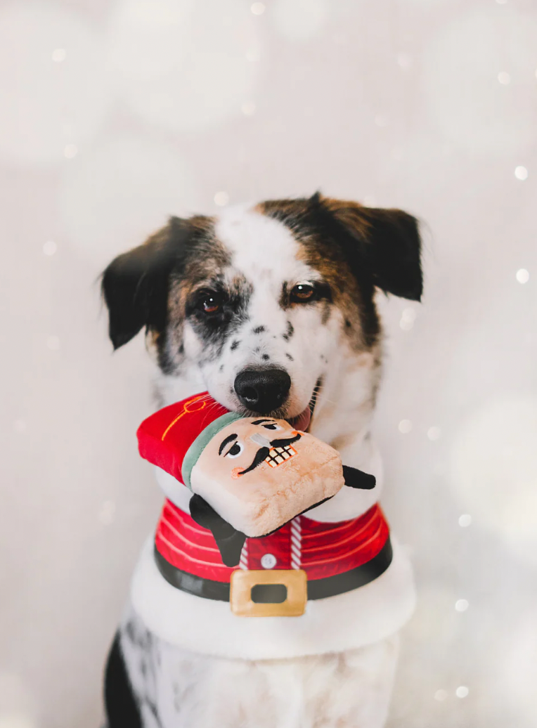 Woofy Goofy Christmas Nutcracker Ornament Squeaky Plush Toy – Gentle ...