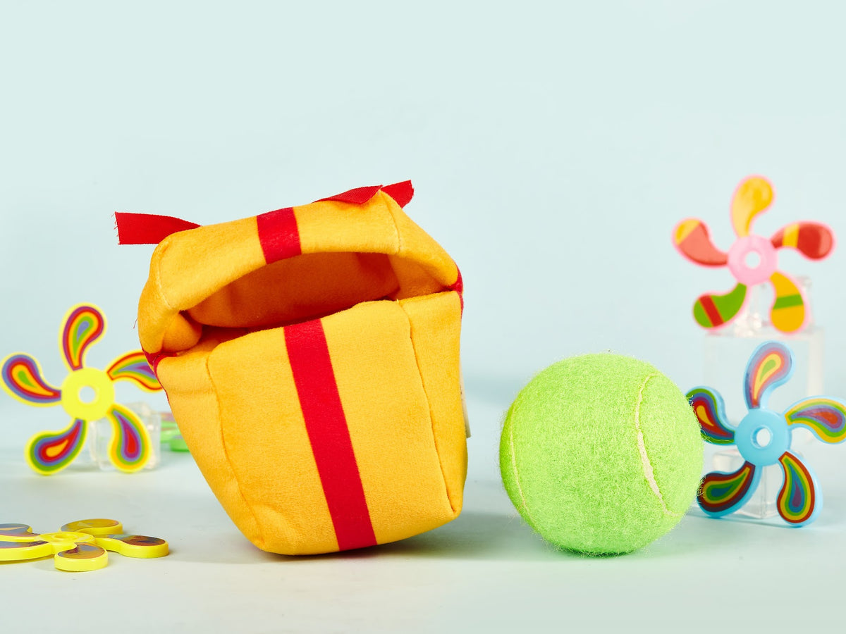 Woofy Goofy Surprise Me Gift Box Toy – Gentle Pet Store