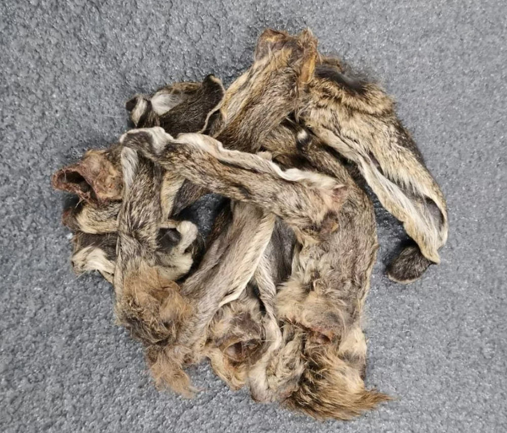 Wholesome Paws Dehydrated Rabbit Ears – Gentle Pet Store